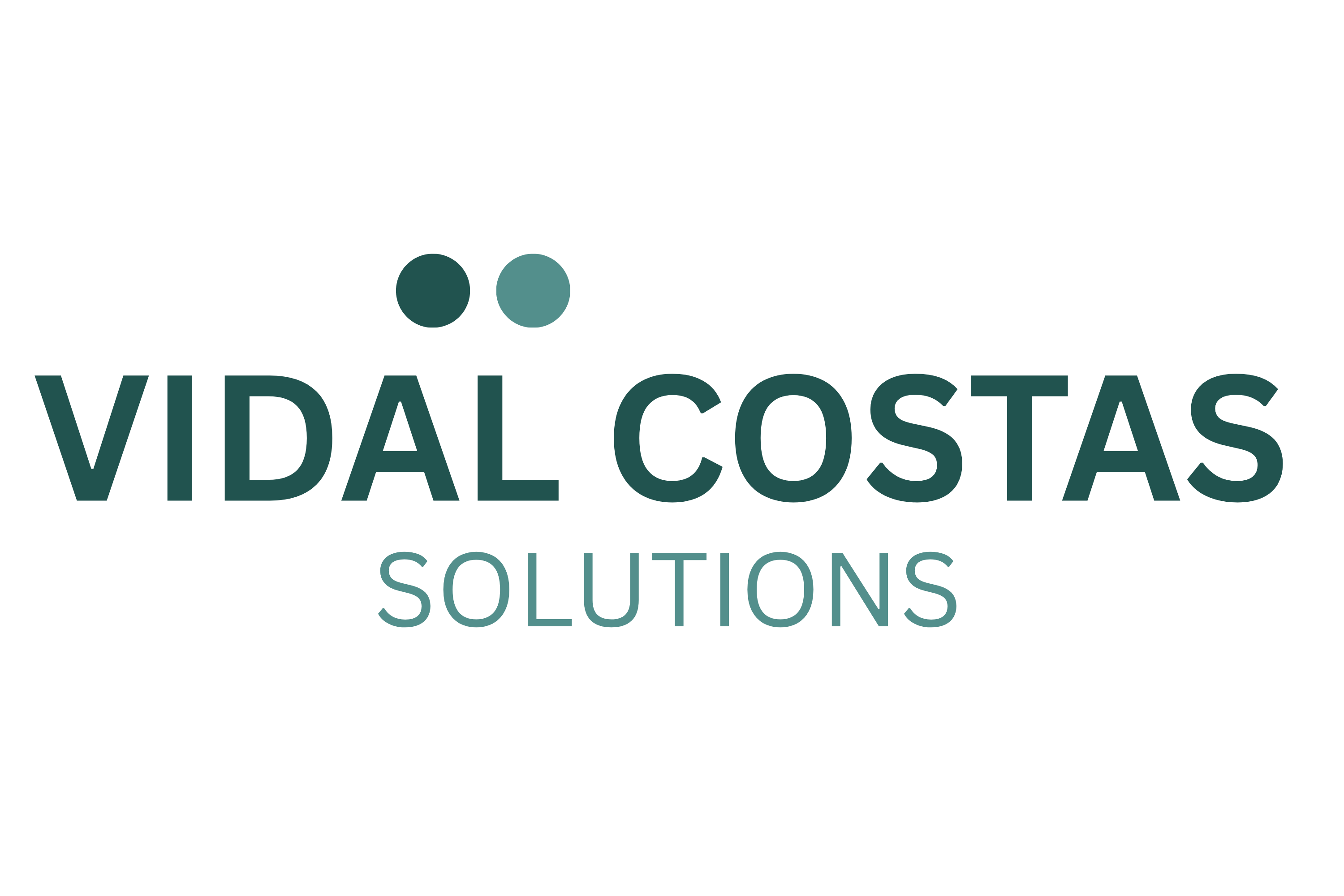 Leistungen – VIDAL COSTAS SOLUTIONS